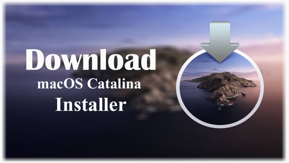 Direct Download MacOS Catalina Installer Without App Store ITechScreen direct-download-macos-catalina-installer-without-app-store-itechscreen